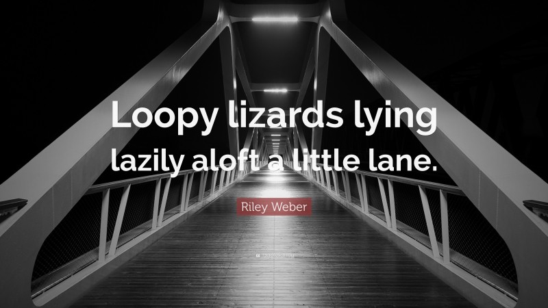 Riley Weber Quote: “Loopy lizards lying lazily aloft a little lane.”