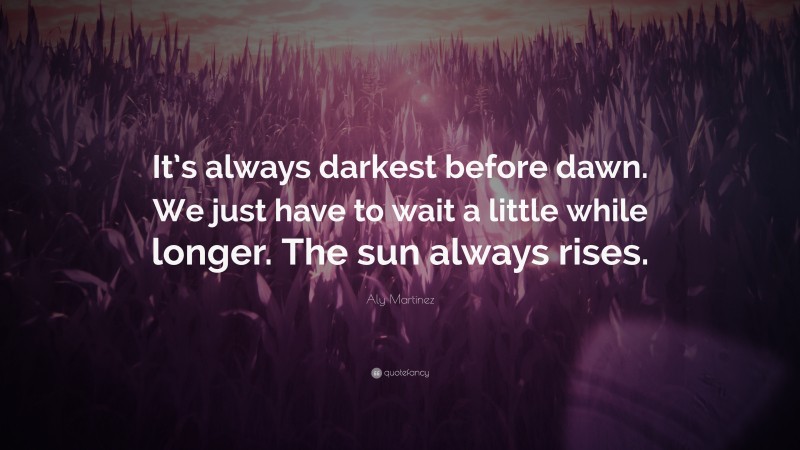 Aly Martinez Quote: “It’s always darkest before dawn. We just have to wait a little while longer ...
