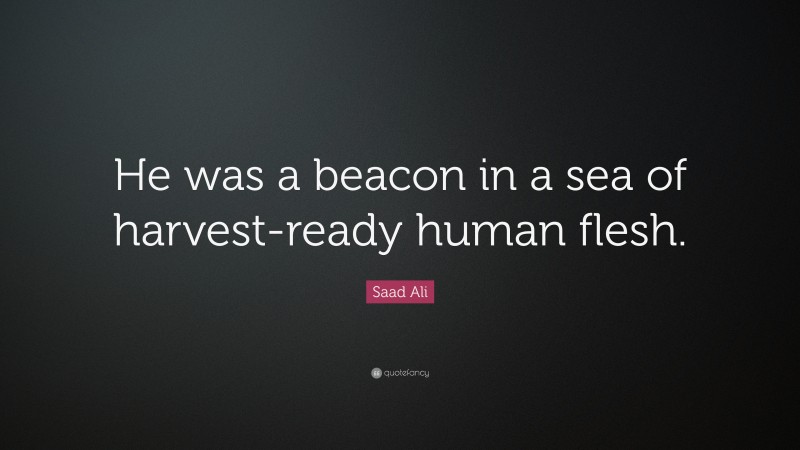 Top 6 Saad Ali Quotes (2026 Update) - QuoteFancy