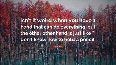 Skylar Blue Quote: “Beauty gets attention, personality gets a heart.”